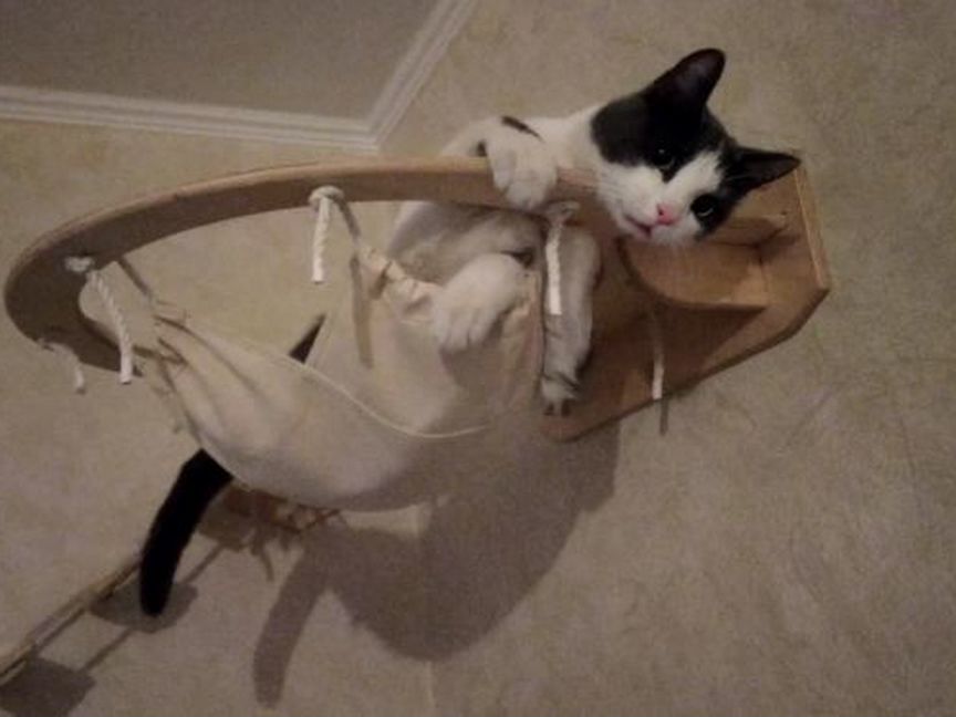 Гамак круглый для кошек