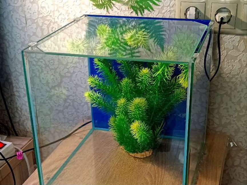 Мох,рыбки,креветки, растения,аквариум куб