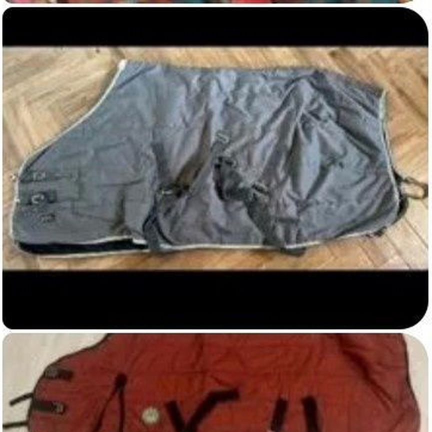 Попоны