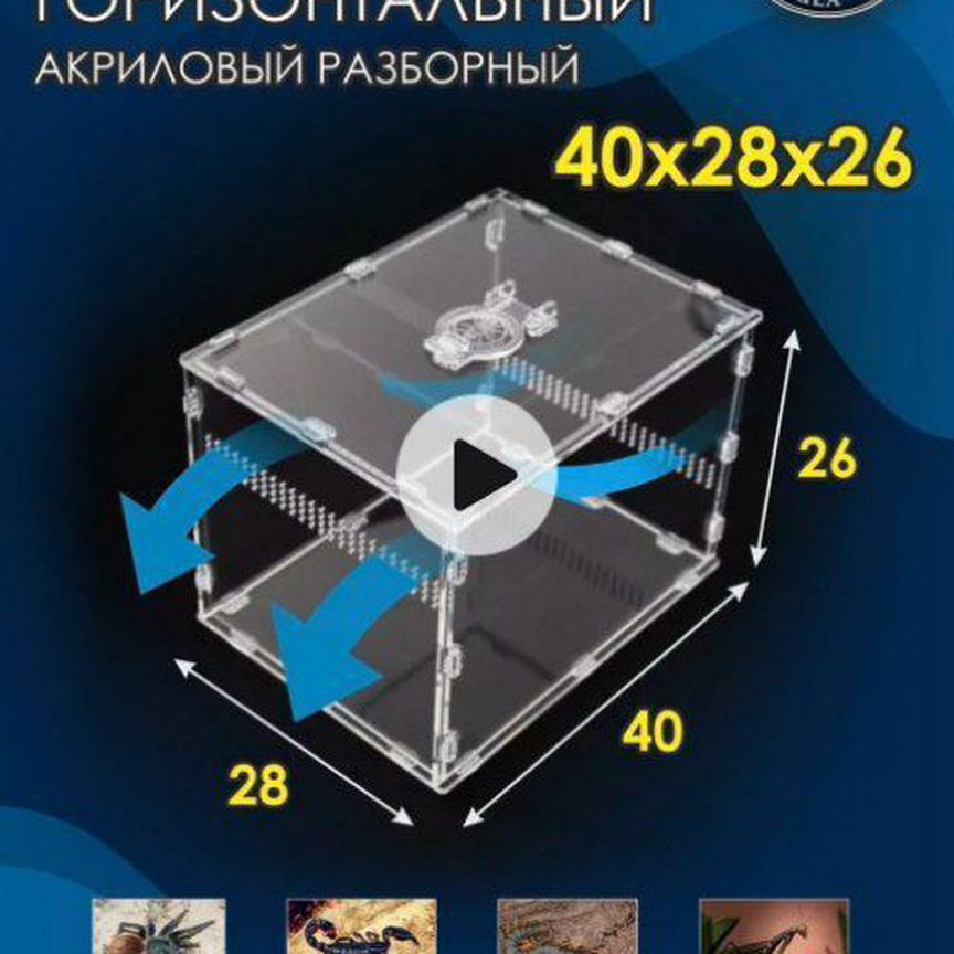 Террариум