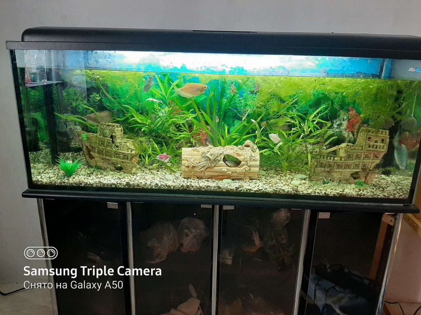 Аквариум