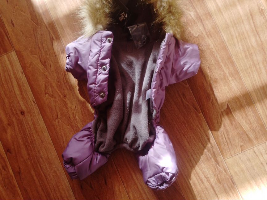 Одежда для собак