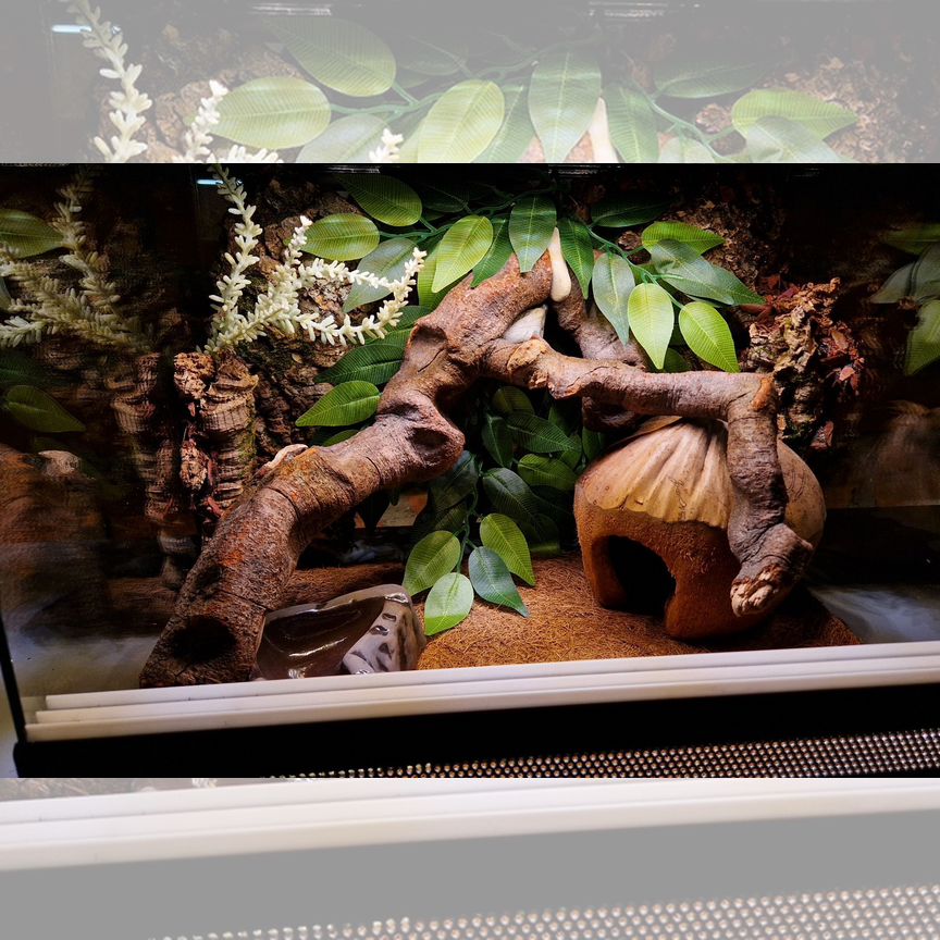 Террариум для геккона