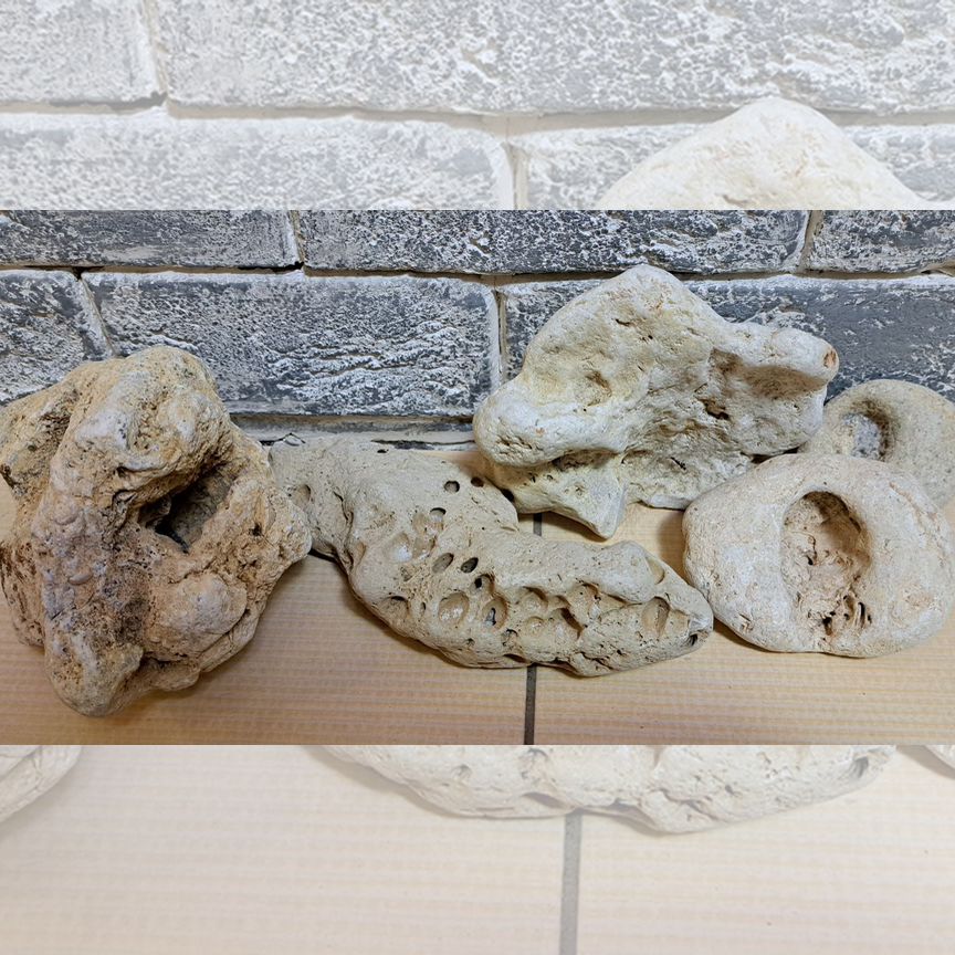 Камни, кораллы,ракушки для декора