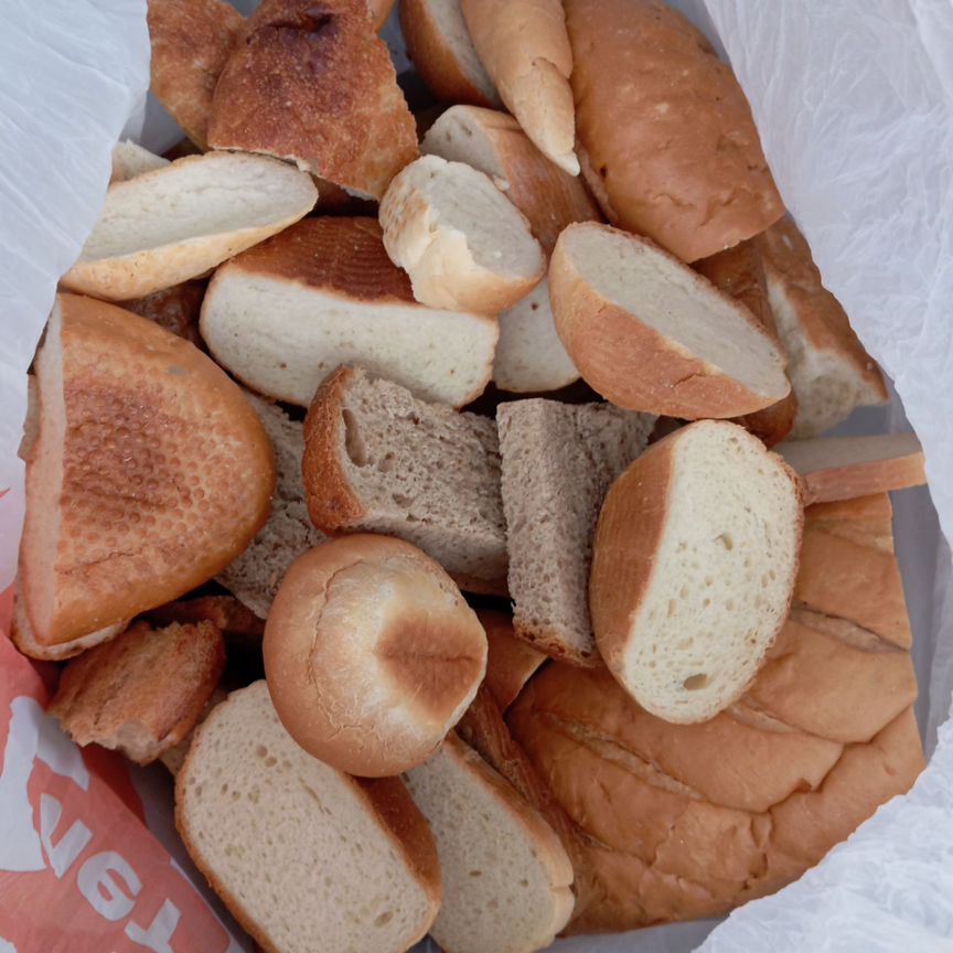 Сухари на корм животным