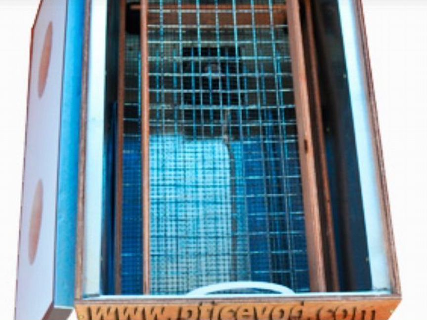 Инкубатор блиц 120