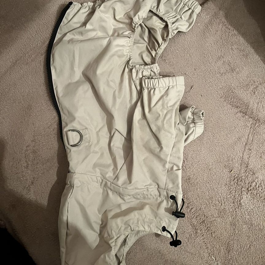 Одежда для собак