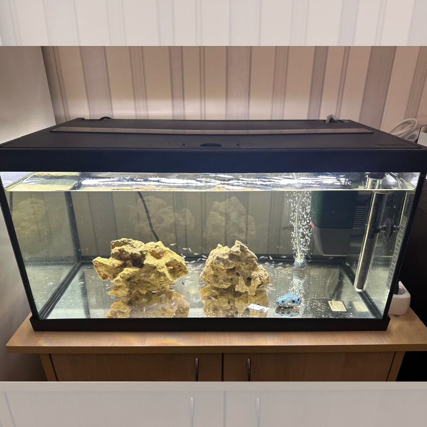 Аквариум eheim Aquastar LED черный 54л