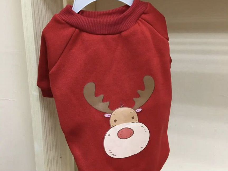 Костюм для мелкой собачки или кошки