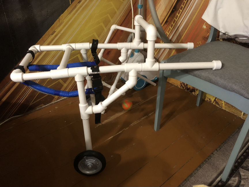 Ходунки для собак