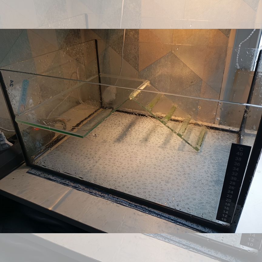 Аквариум для черепах