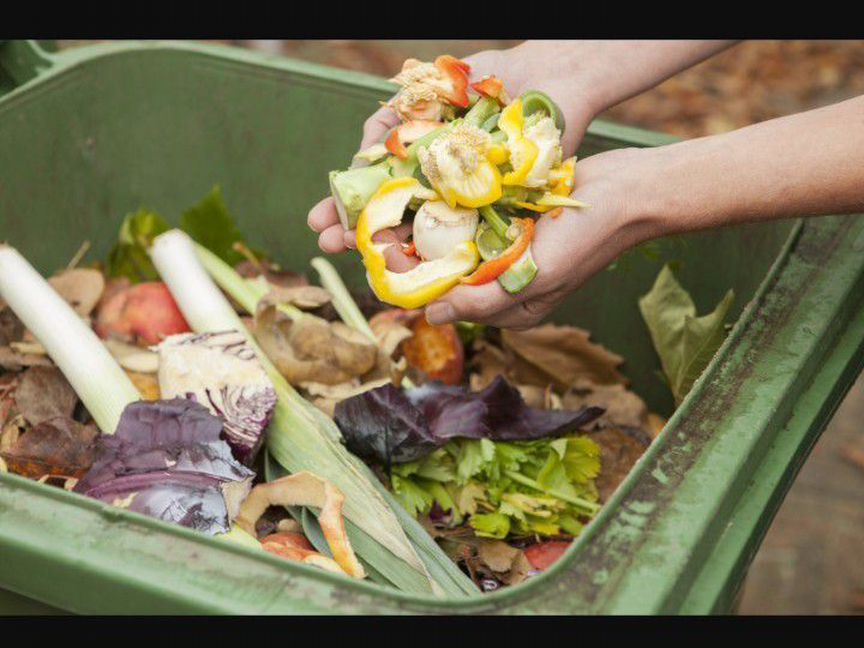 Пищевые отходы для животных