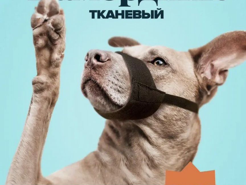 Намордник тканевый для собак