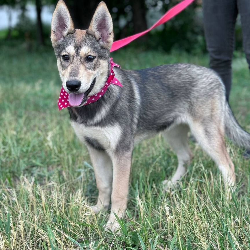 Малышка ждет свою семью