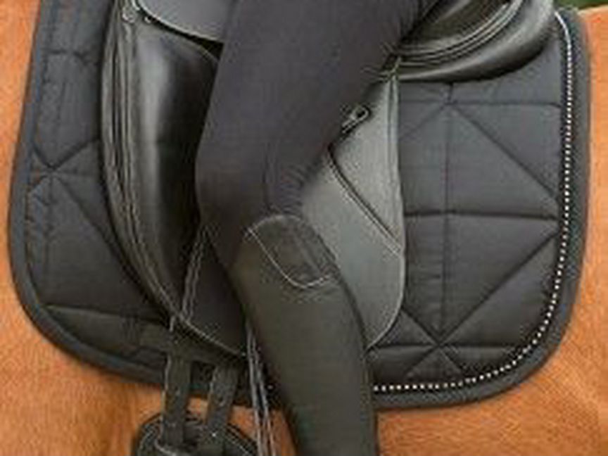 Вальтрап выездковый