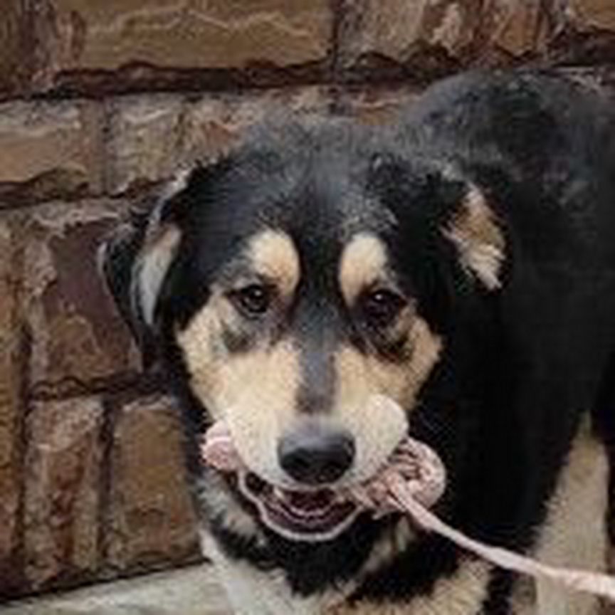 Молодой добряк Мартин