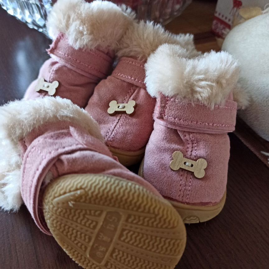 Обувь для животных. Обувь для собак