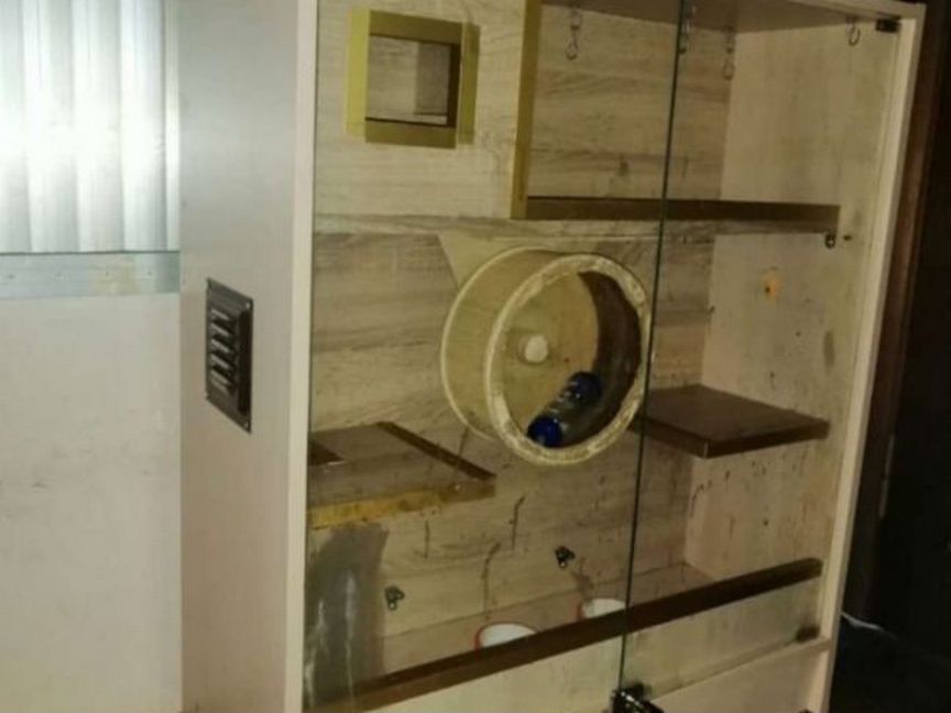 Витрина для дегу, шиншиллы