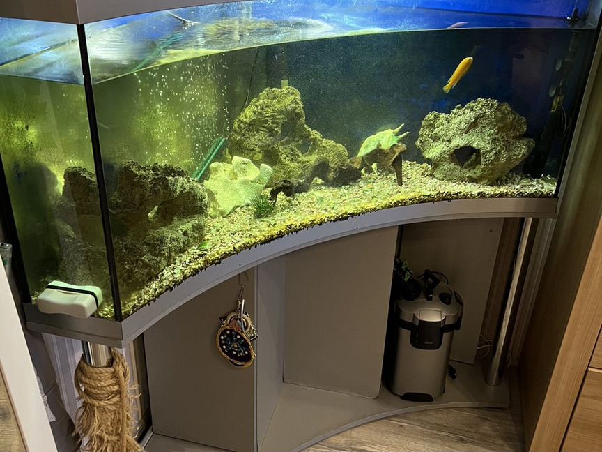 Аквариум с тумбой 400 литров