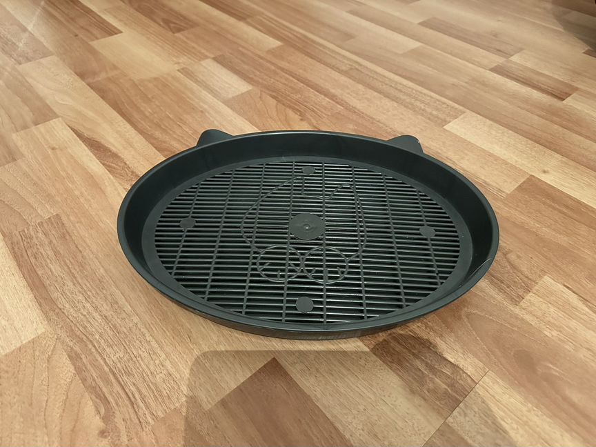 Лоток для котят