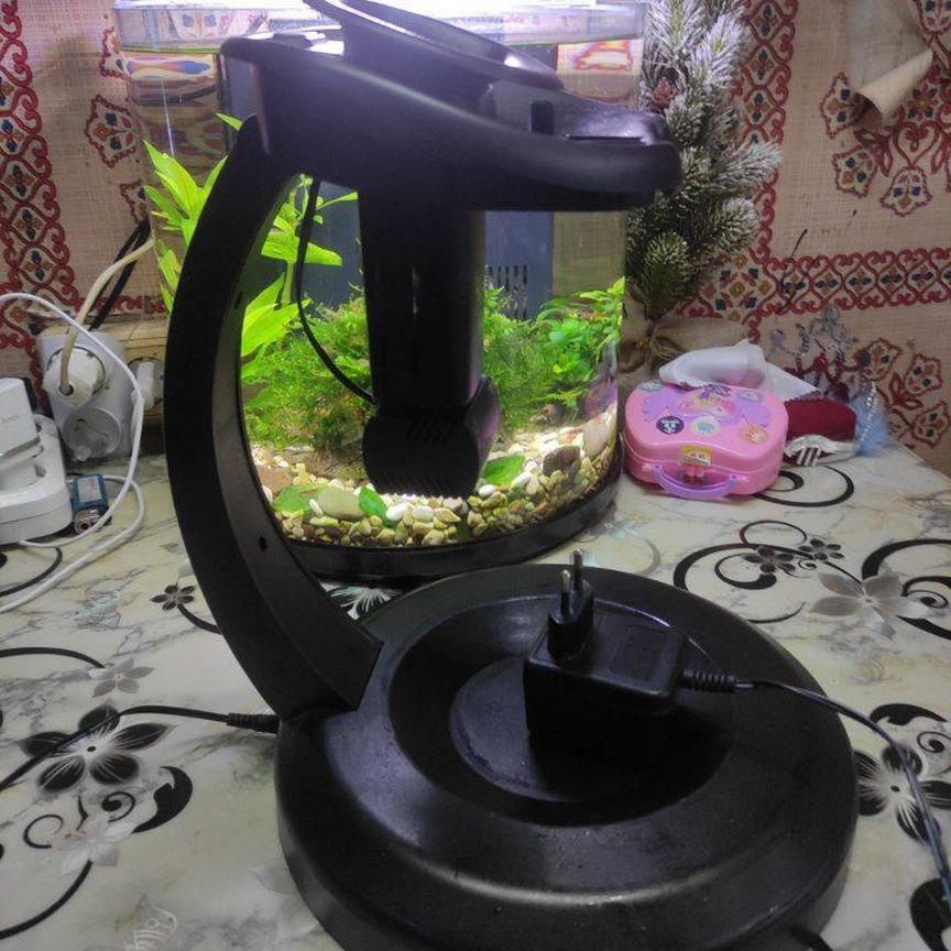 Tetra Global Duo