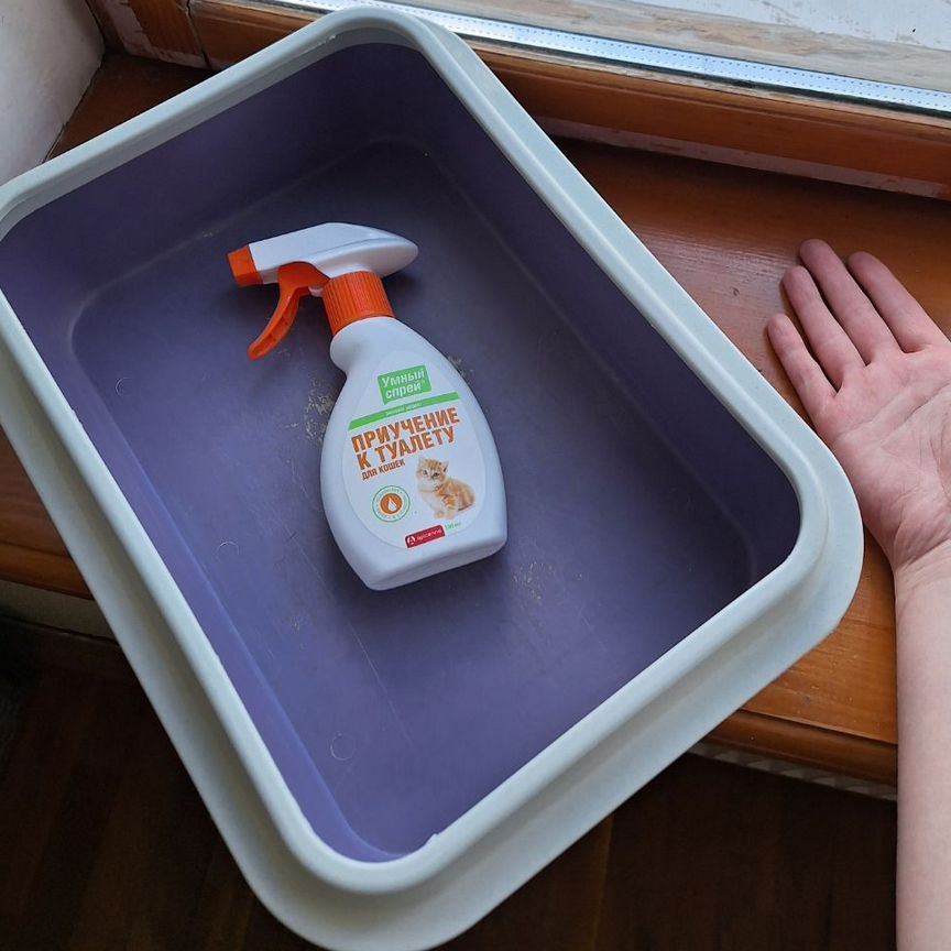 Лоток и спрей для приучения к лотку