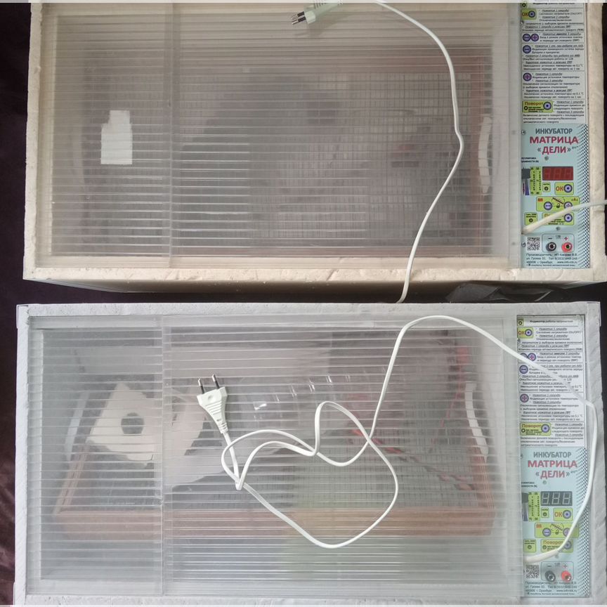 Инкубатор Матрица Дели на 72 яйца