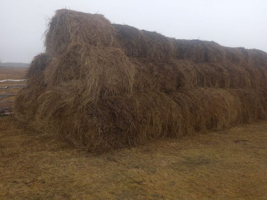 Сено в рулонах