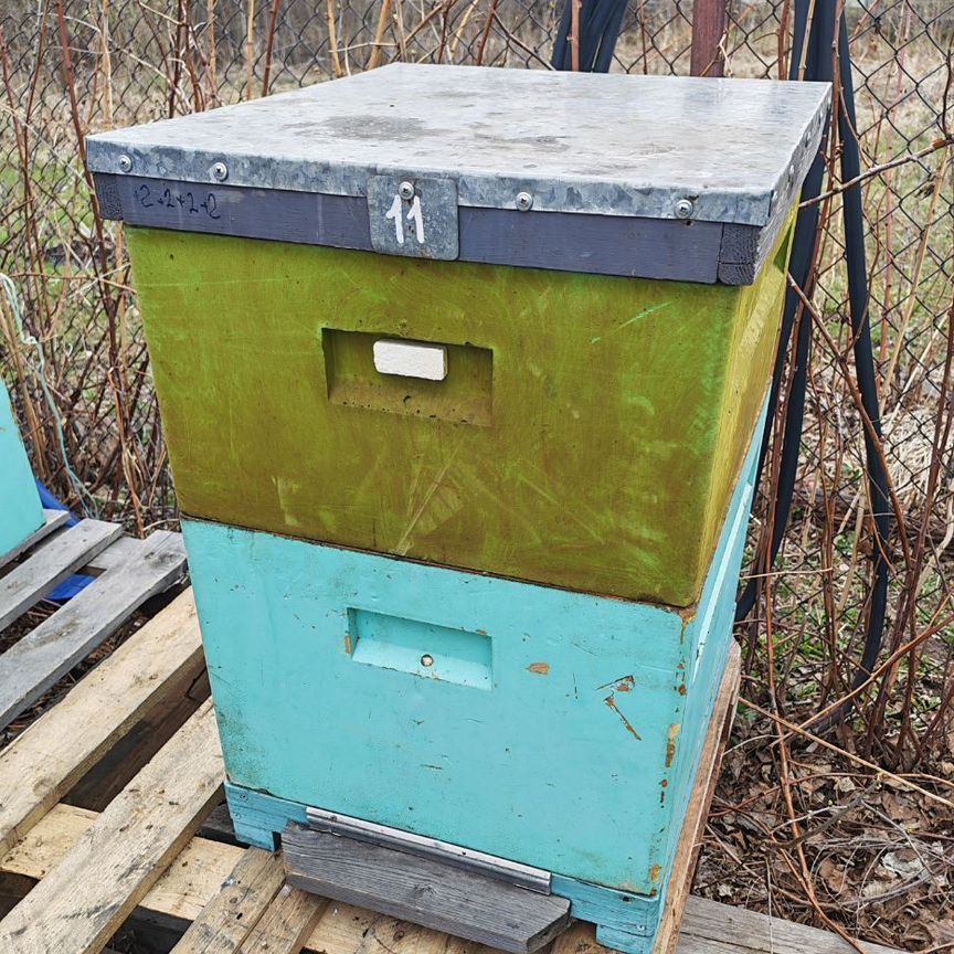 Пчелинные ульи