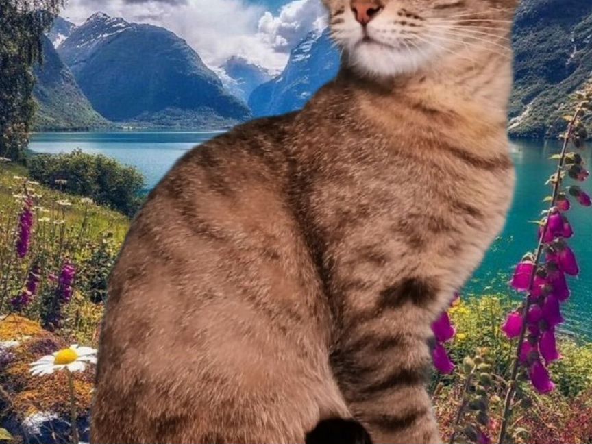 Настенька 1.5г из приюта в дар