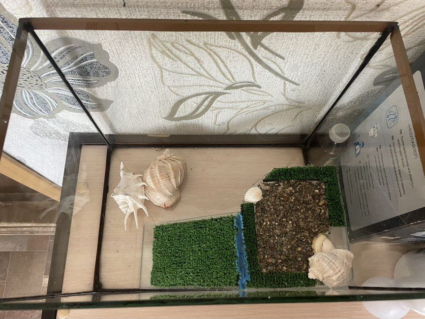 Аквариум для маленьких черепах