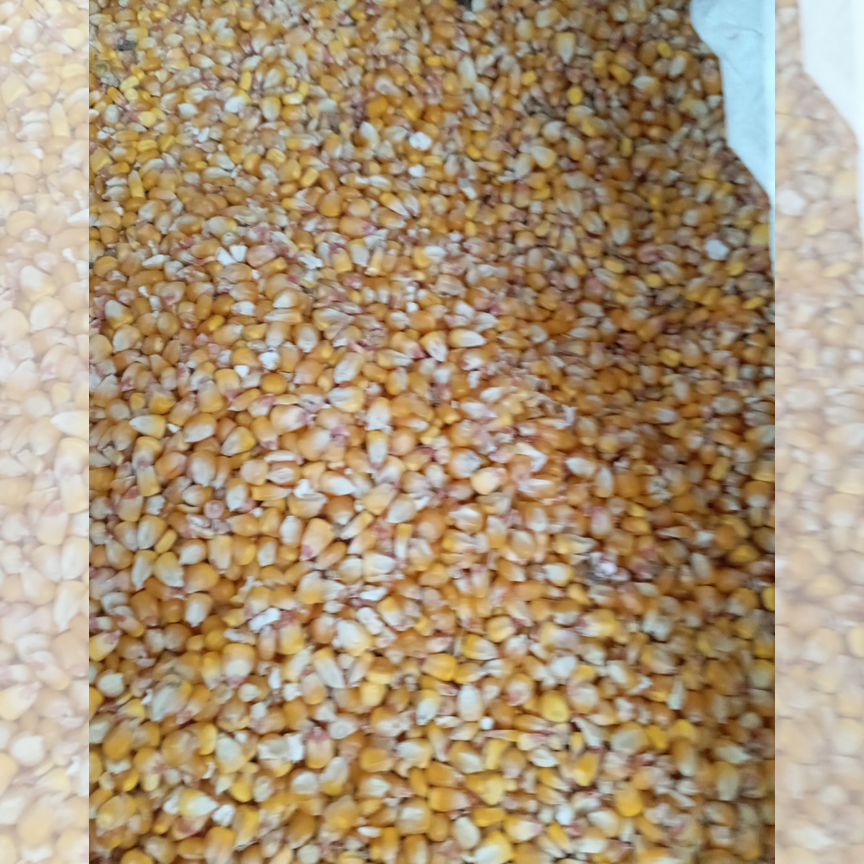 Корма для сельскохозяйственных