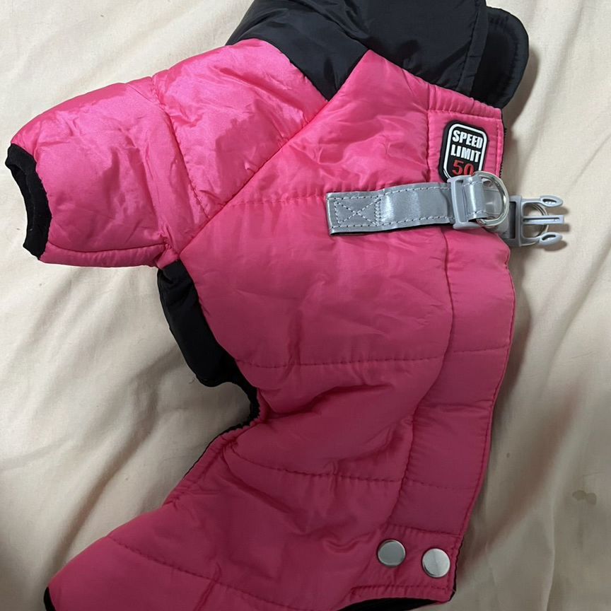 Одежда для маленьких собак