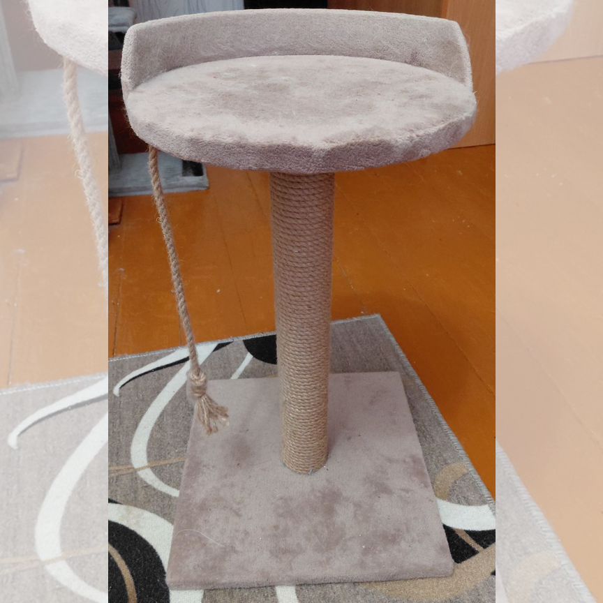 Когтеточка