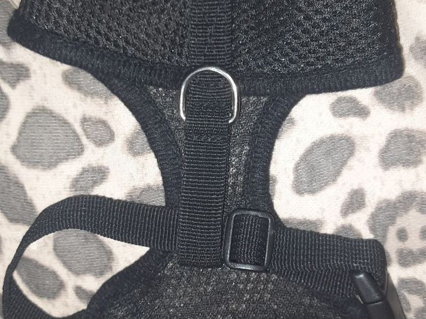 Новая шлейка для собак, котов, с поводком