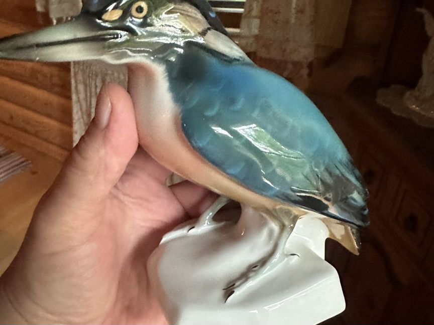 Птица дрозд