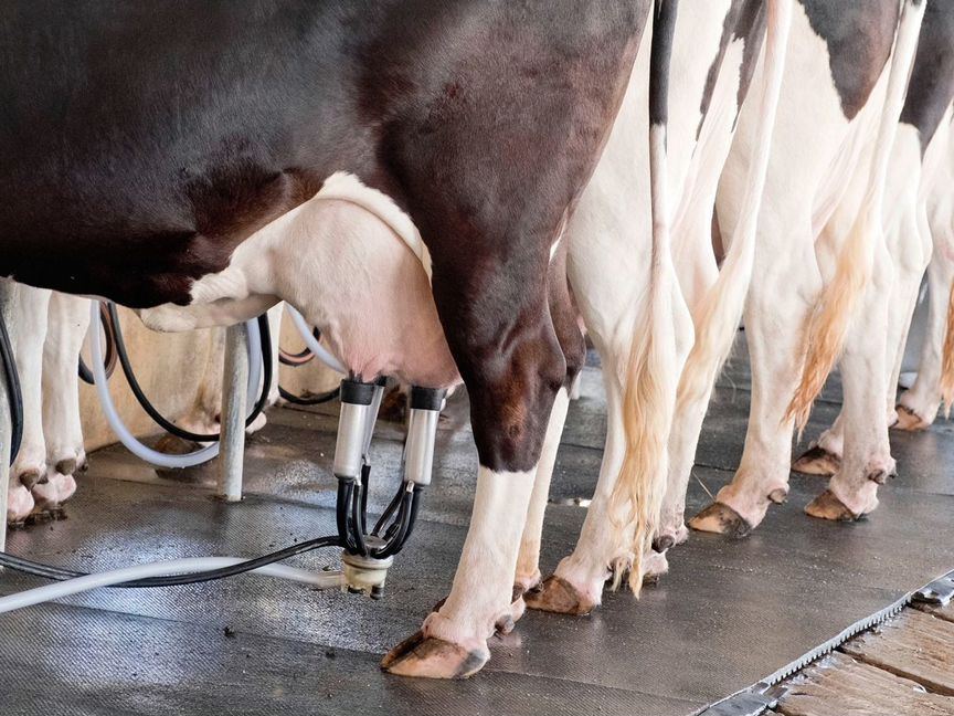 Доильный аппарат новый