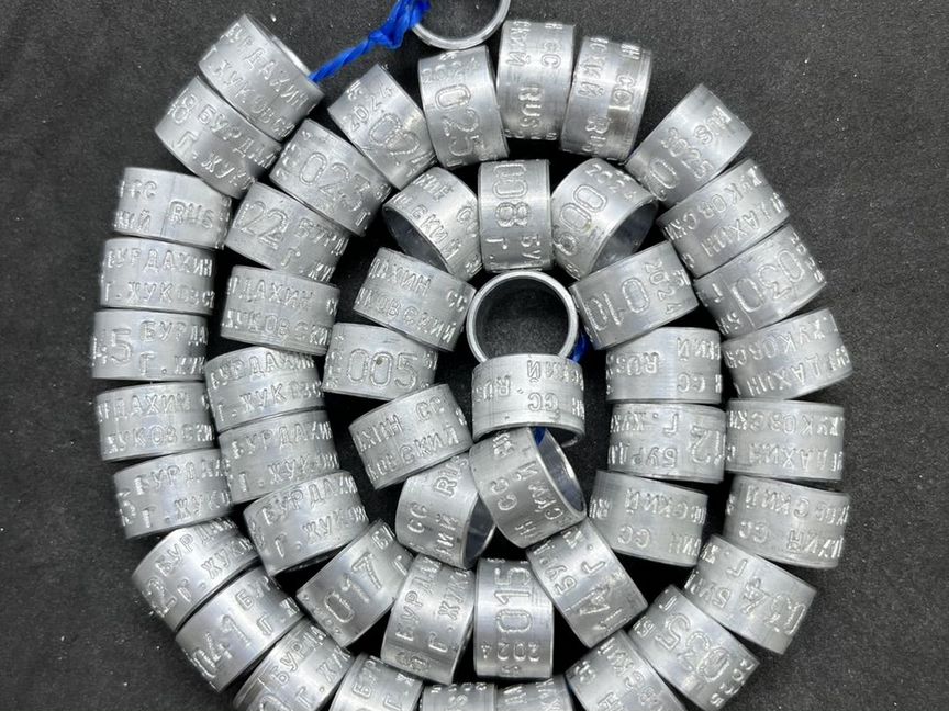 Для подсадных уток кольца