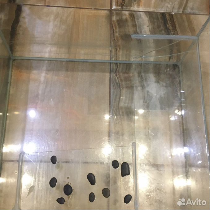 Аквариум для морской красноухой черепахи