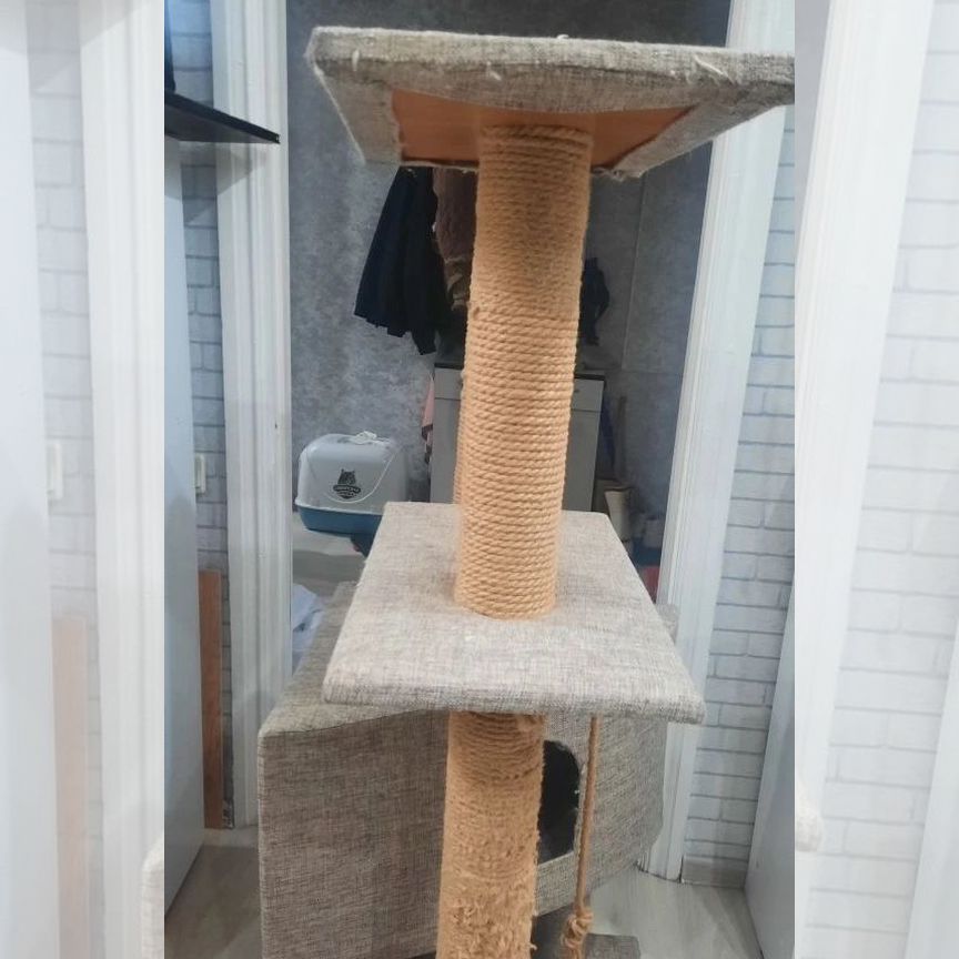 Когтеточка