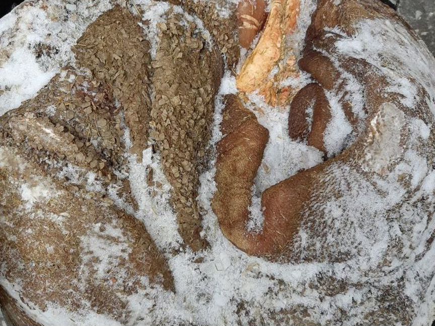 Натуральные корма для животных