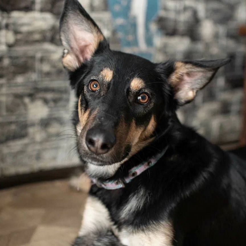 Кевин скорее хочет домой