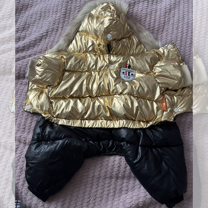 Комбинезон для маленькой собаки