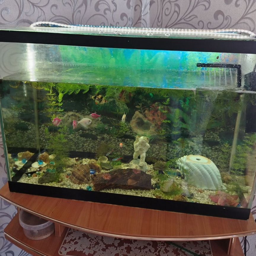 Аквариум