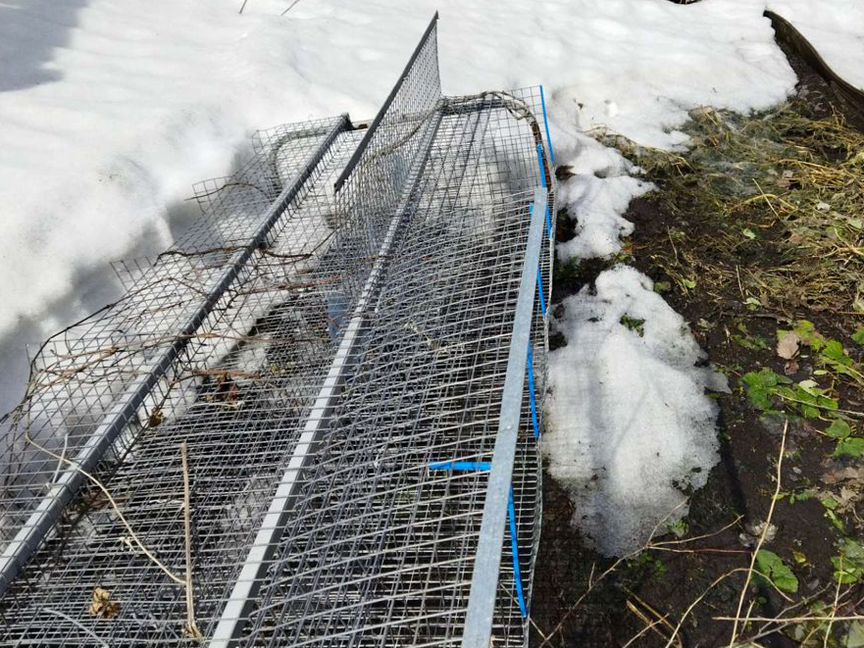 Клетки для перепелов обмен на кур