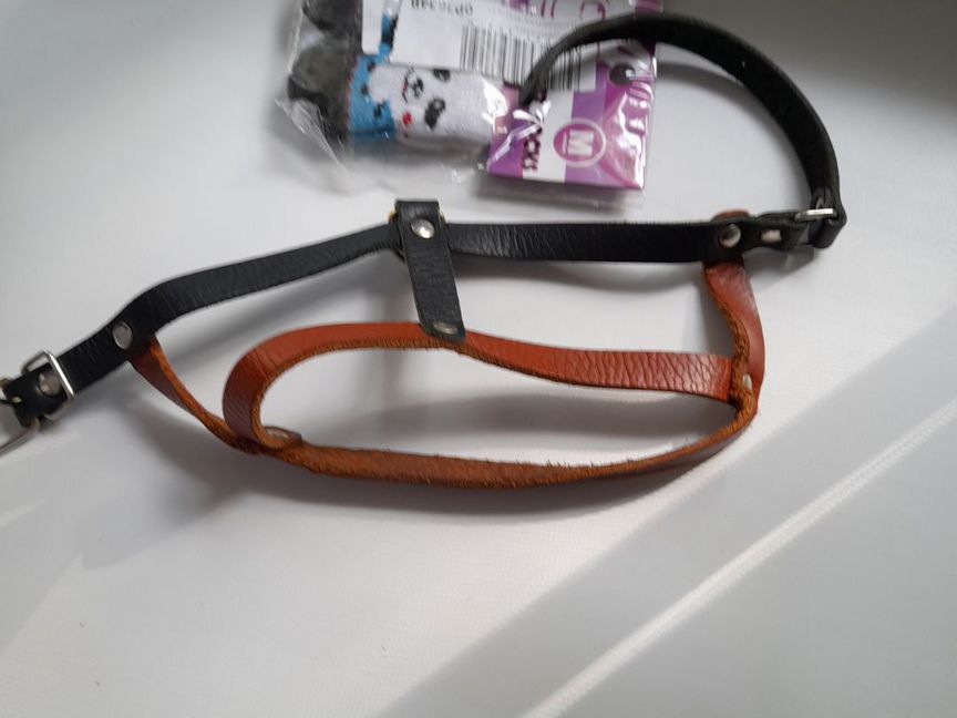 Шлейка для собаки