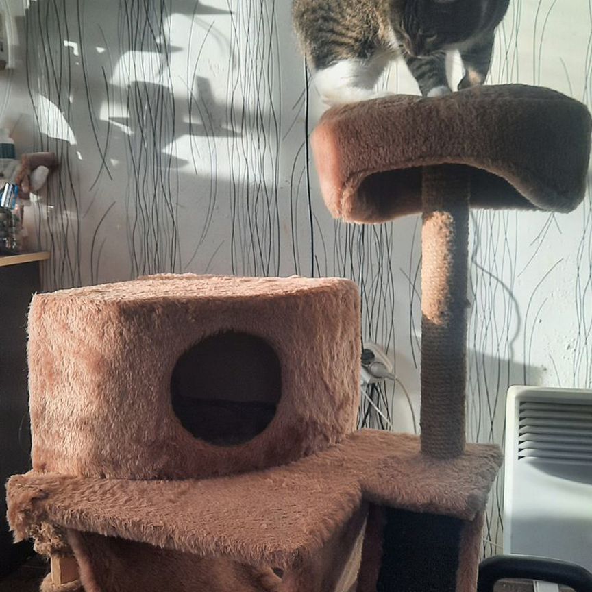 Домик для кошки с когтеточкой и гамаком бу