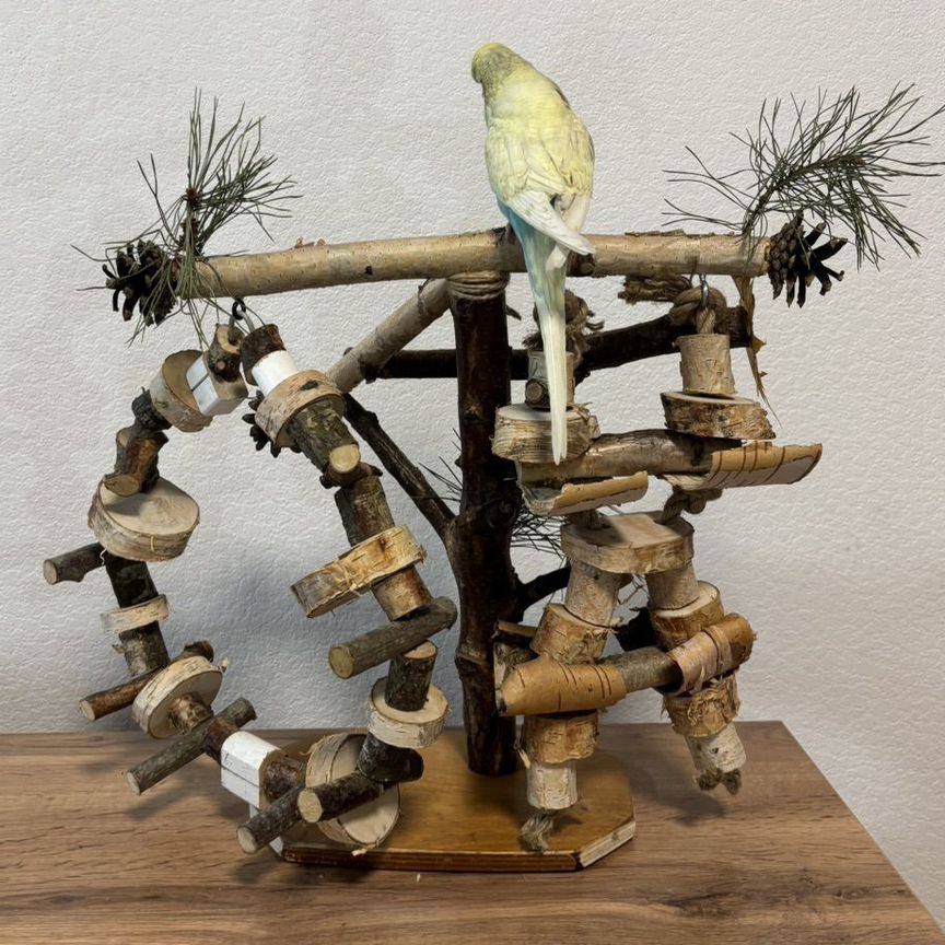 Стенд для попугая среднего и маленького