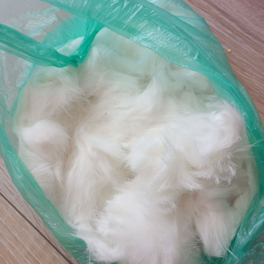 Кошачья шерсть