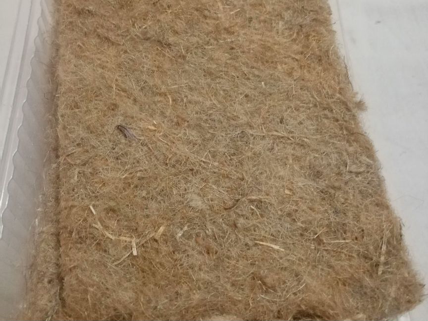 Коврик для микрозелени